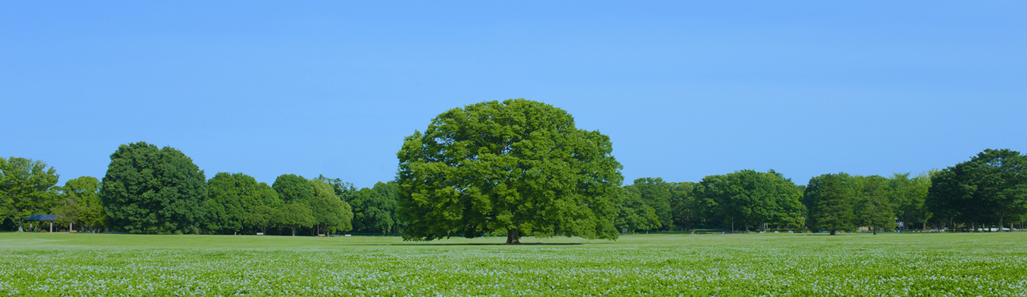 会社概要 | composure